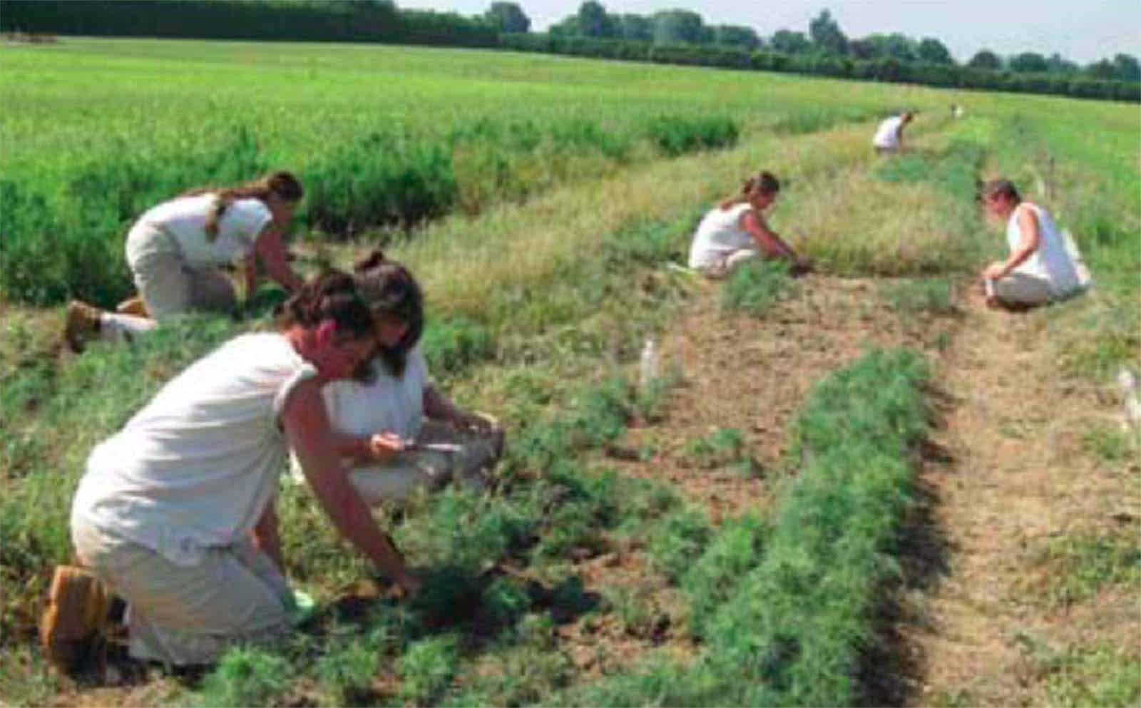 Appalachia's Hidden Crisis: The Plight of Black West Virginians and ...