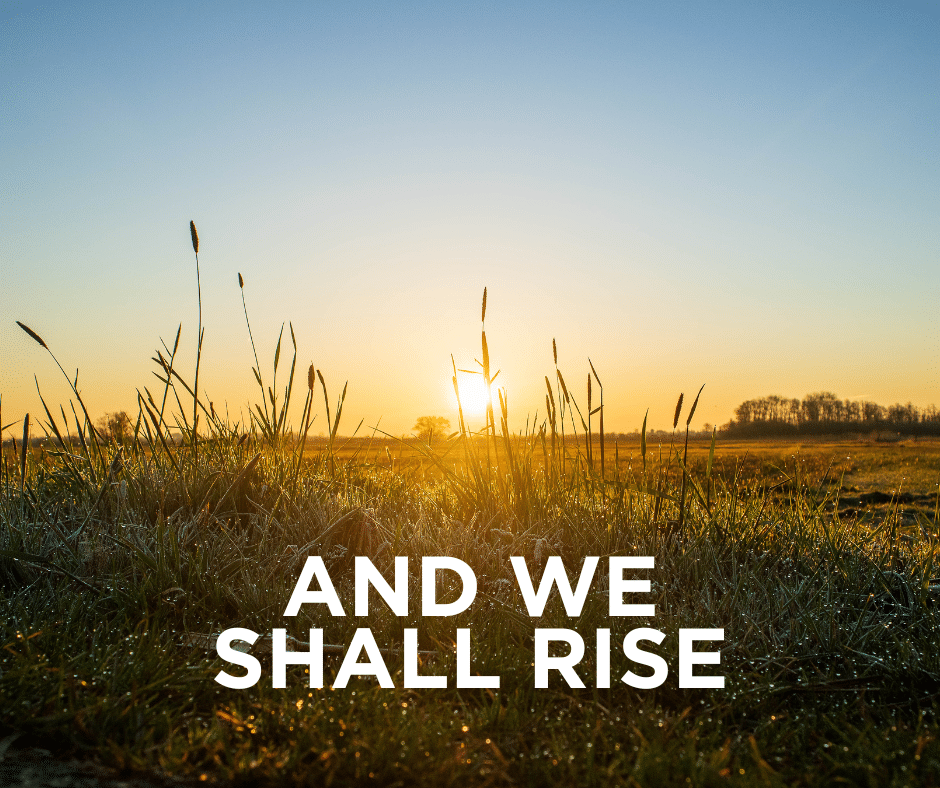 Melungeon Heritage – Black By God