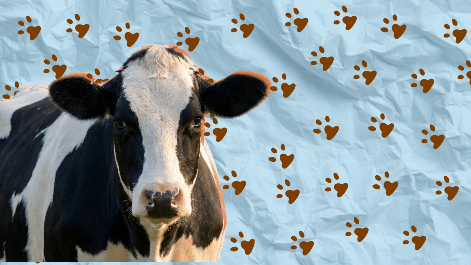 WV Senate committee advances bill to reduce fees for small farms